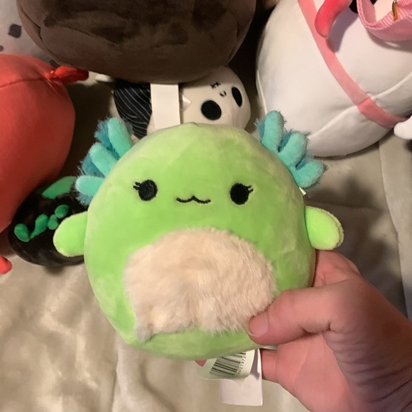Squishmallows | Toys | Mipsy Axolotl Squishmallow Nwt | Poshmark